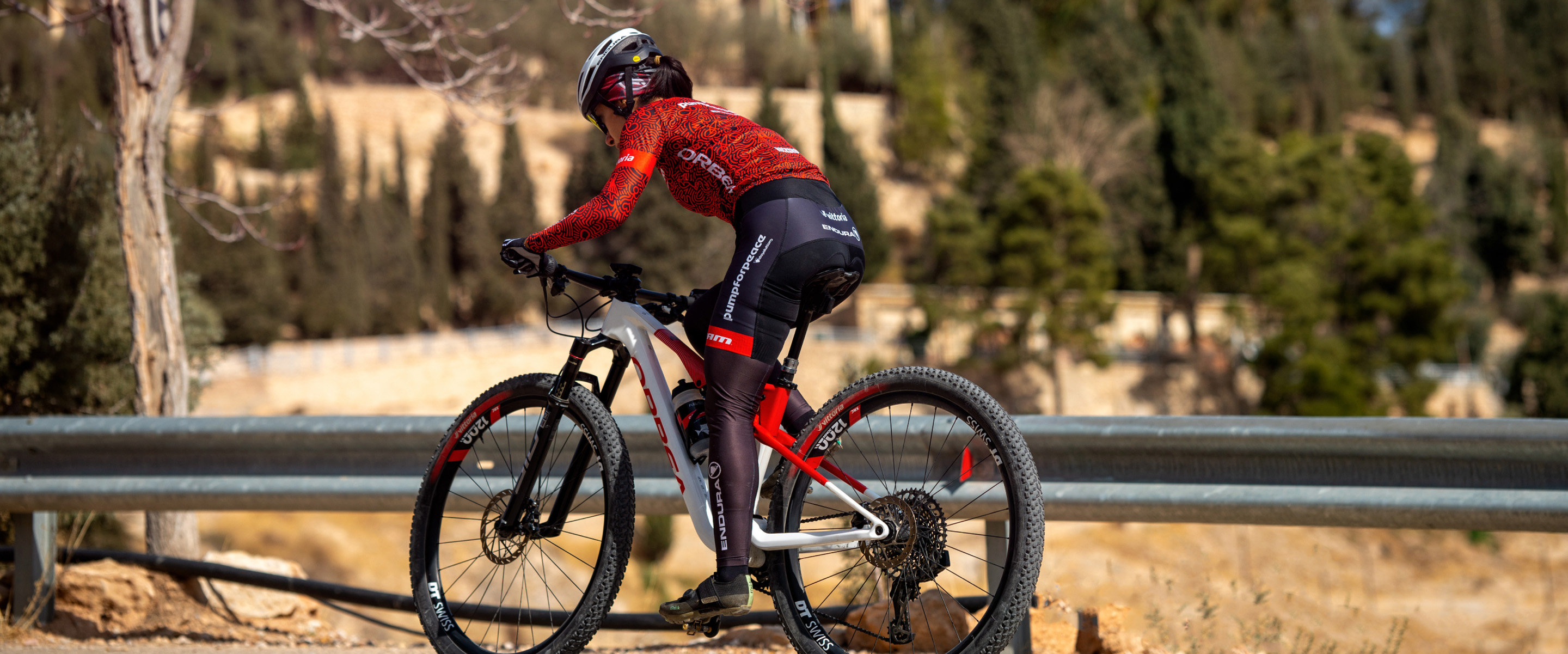 IWD - Faranak Partoazar | SRAM