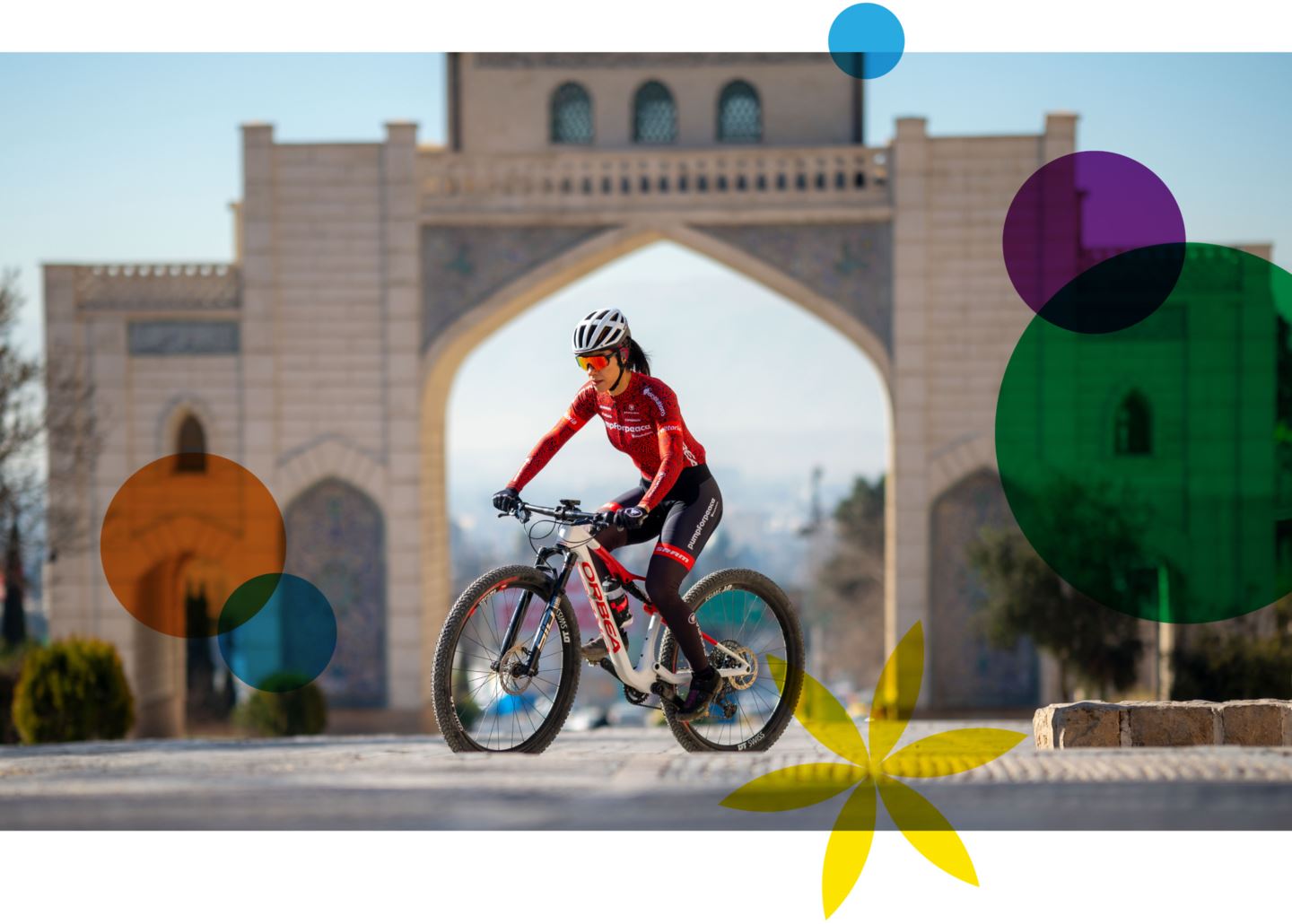 IWD - Faranak Partoazar | SRAM